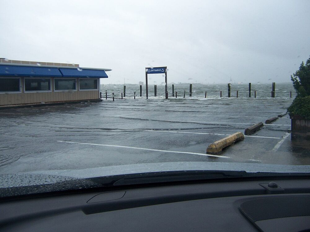 Is human-driven climate change causing the sea levels to rise?