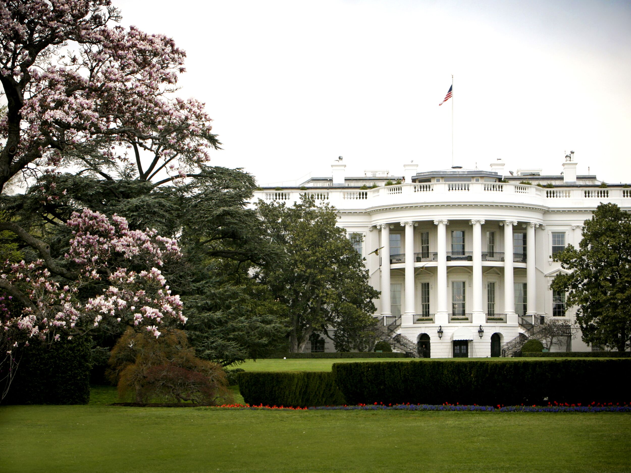 NAE Members Appointed to President’s Council of Advisors on Science and ...